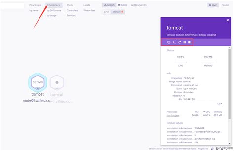 kubernetes 使用 weave scope 监控集群 十七 csdn博客