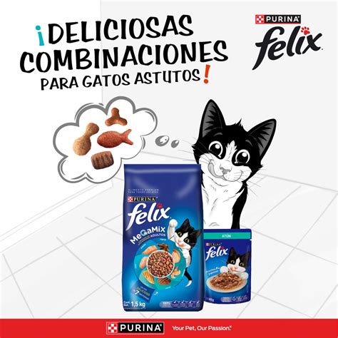Purina Purina Felix® Te Ofrece A Tu Gato Opciones Deliciosamente
