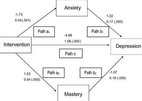 Figure Graphic Display Of The Estimated Path Analysis Model The Two
