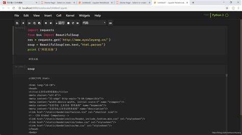 Jupyter Notebook设置背景主题、字体大小及自动补全代码jupyter页面大小调整 Csdn博客