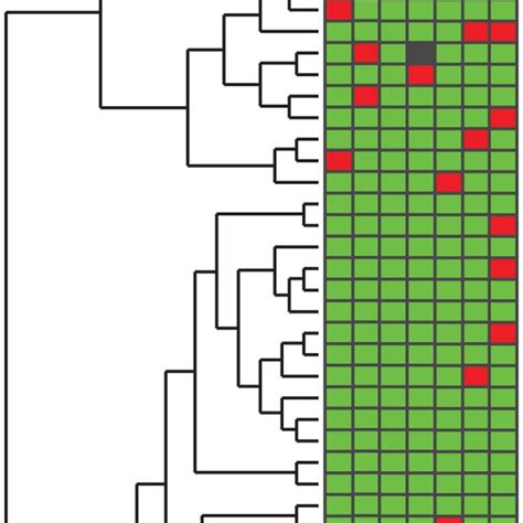 Mutational Status Is Not Reflected In Distinct Patient Clusters Related Download Scientific