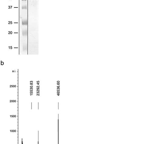 Rtf Characteristics Commercially Produced And Purified Rtf Was