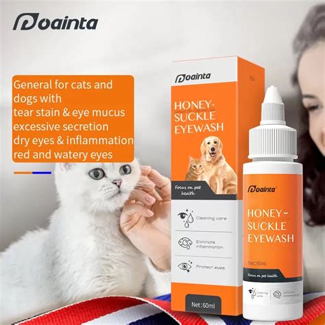 Treatment For Cloudy Eye In Cats Causes Diagnosis And Management