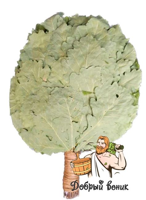 ВЕНИКИ ДЛЯ БАНИ