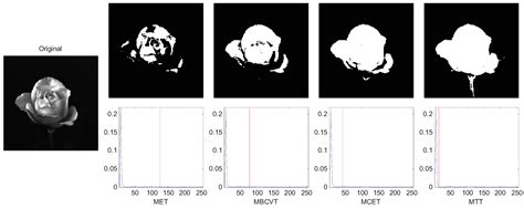 optimal multi level thresholding based on maximum tsallis entropy via