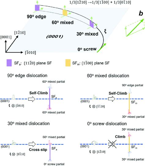 14 Schematic Illustrations Showing Dissociated Structures Of A Basal