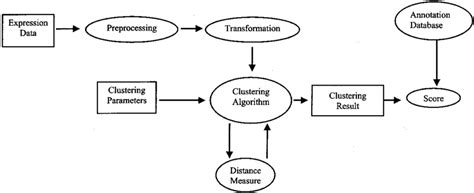schematic of dataflow in clustering and evaluation download