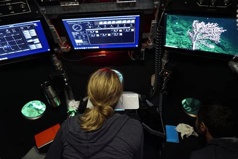 Deep Sea Sensor Reveals Corals Produce Superoxide Ocean Science Technology