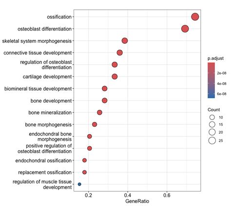 Deg Gene Ontology And Kegg Pathway Analysis Sequencing Portfolio