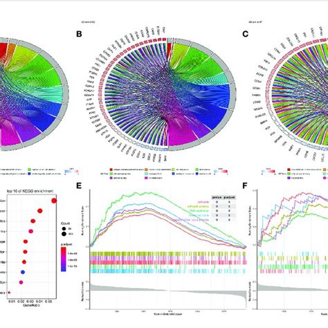 Slc16a1 Expression Is Associated With Carcinogenic Signaling