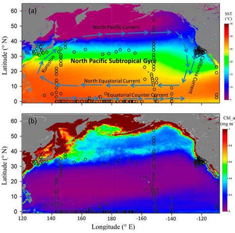 Deriving The Vertical Variations In The Diffuse Attenuation Coefficient Of Photosynthetically