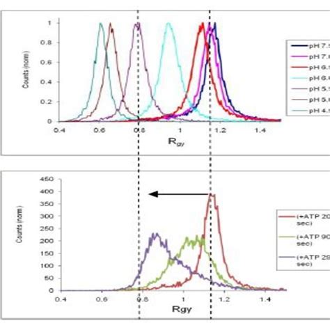 A Normalized Distribution Of The Fitc Dextran Fluorescence Ratios R