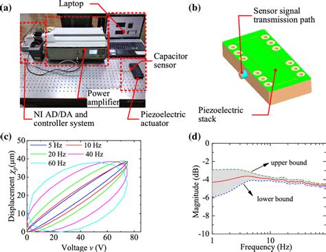 Experimental Characterization Of Rate Dependent Hysteresis Loops For