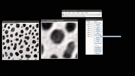 超神！史上最全tem分析软件 教程汇总：digitalmicrograph、imagej、ipp、nm、ppt、tia等 Py学习