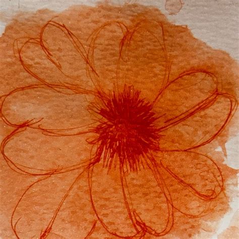 Dip Pen Nib Ferrules Accommodation Tips Pack Of 5 Convert Feather Quills Or Wooden Holders