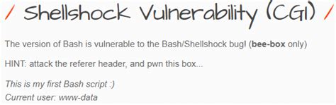 Bwapp 9 Using Known Vulnerable Components Shellshock Vulnerability