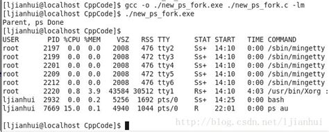 Linux启动新进程的几种方法及比较linux拉起独立的进程 非子进程 Csdn博客