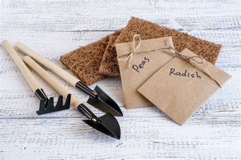 심기 코코넛 양탄자 및 원예 도구를위한 씨앗이있는 가방 마이크로 그린 씨앗 개념에 대한 스톡 사진 및 기타 이미지 개념