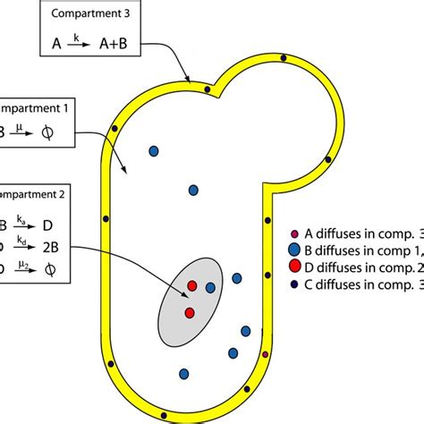 Constructive Solid Geometry Set Operations In Two Dimensions Download Scientific Diagram