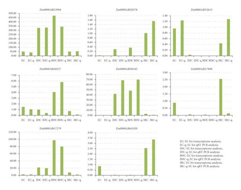 Expression Profiles Of Degs Selected Based On The Transcriptome