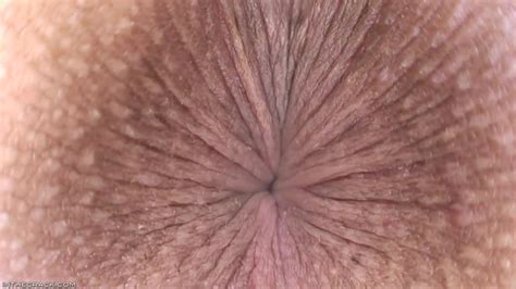 Close Up Asshole Winking