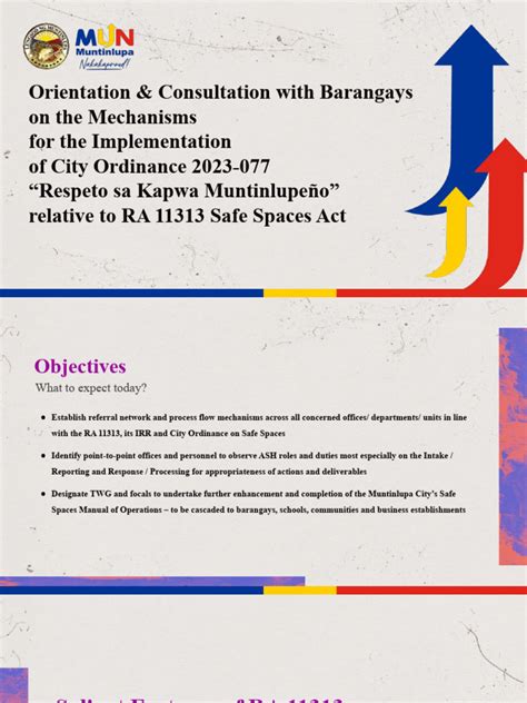 2024 Safe Spaces Ash Framework Muntinlupa City Pdf Harassment Sexual Harassment