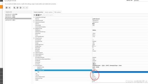 Devexpress之gridview设置devexpress Gridview Csdn博客
