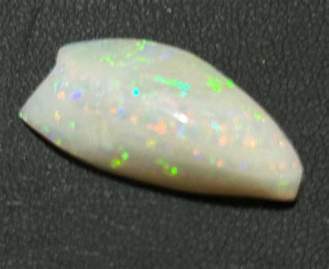 Opalised Shell Fossil Etsy