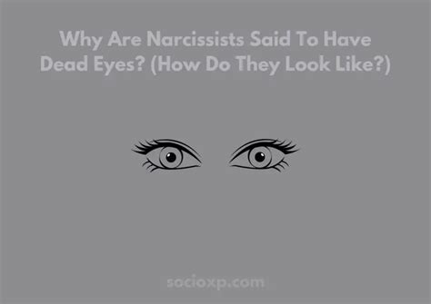 Why Are Narcissists Said To Have Dead Eyes How Do They Look Like