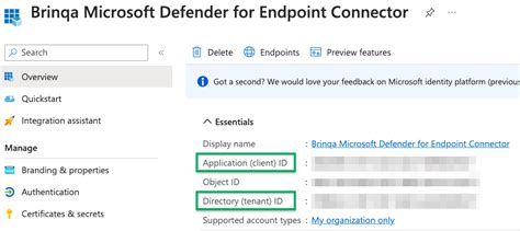 microsoft defender for endpoint · brinqa documentation