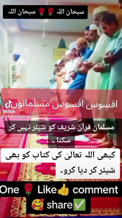 ماشاءاللہ خوبصورت تلاوتِ قرآن کریم Youtube