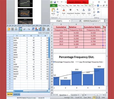 do statistical data analysis on spss and excel by amnaafzal445 fiverr