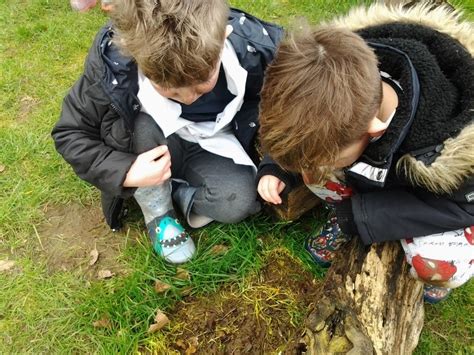 Science E Bramley Sunnyside Infant School