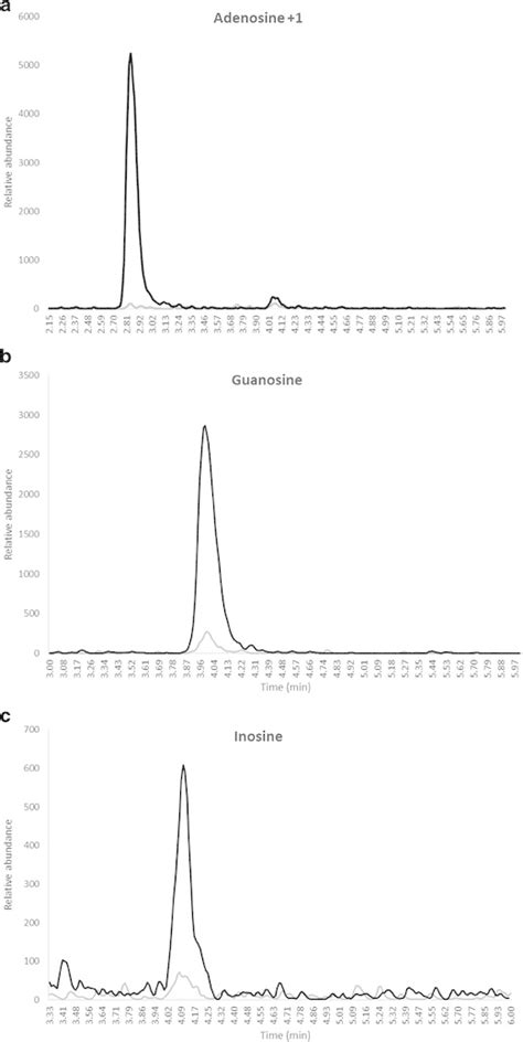 Overlay Chromatograms With Blank IS Gray And LLOQ Black For A Download Scientific Diagram