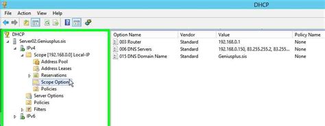 vendor class identifier dhcp option 43 option 60 and option 241
