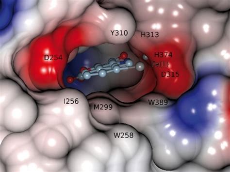 Lead Optimization Bruker