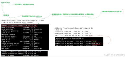 信号 1 信号的产生sig 9信号什么原因 Csdn博客