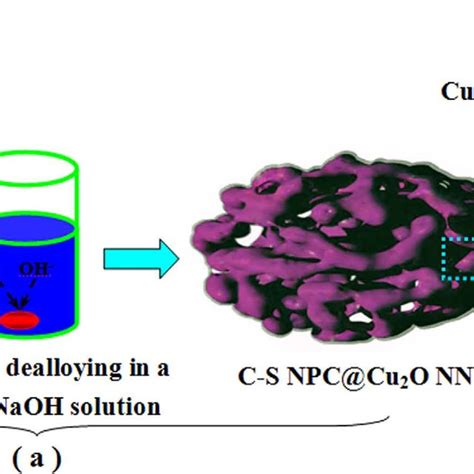 The Schematic Illustration Showing A The Preparation Process Of The Download Scientific