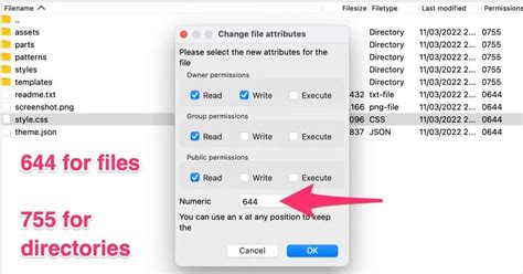How To Fix The Failed To Load Resource Error In Wordpress • Gigapress