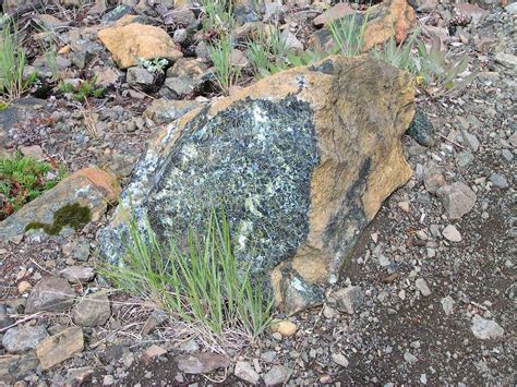 Définition Péridotite Composition Formation Et Rôle Géologique