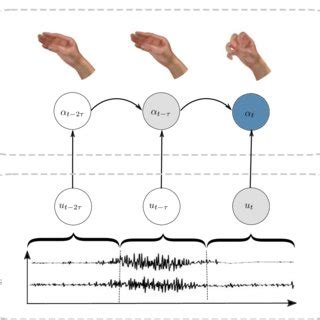 Illustration Of The Probabilistic Framework Graphical Model Used To Download Scientific
