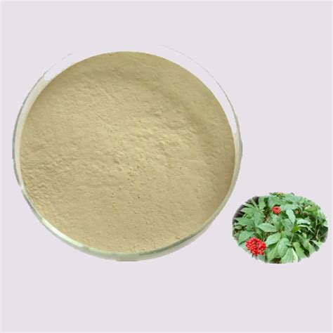 Ginseng Stem Leaf Extract Panax Ginseng C A Mey Ginseng Extract China Ginseng Extract And
