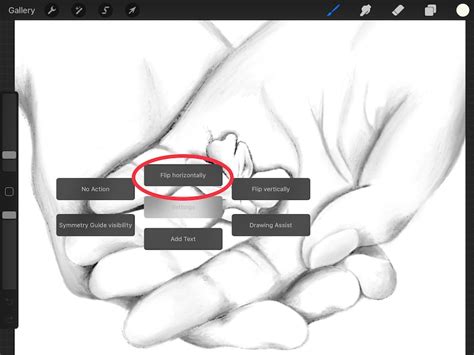 How To Flip Your Canvas In Procreate Adventures With Art