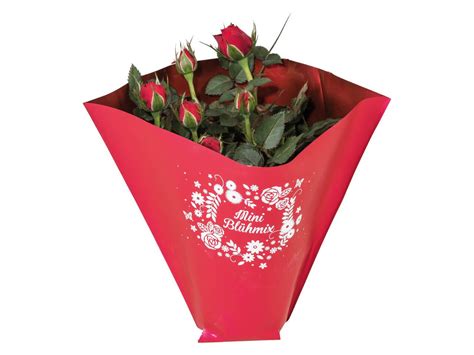 Мини цъфтящи растения Лидл Oferta Bg