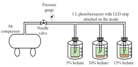 Schematic Diagram Of Microalgae Cultivation Using Leachate As A