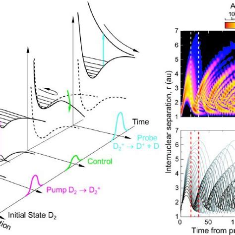 Schematic Of The Pump Control Probe Scheme And Unperturbed
