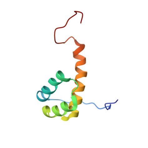 Rcsb Pdb 2dmq Solution Structure Of The Homeobox Domain Of Lim