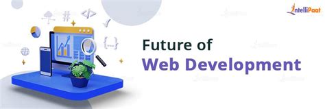 Types Of Web Developers And What They Do Intellipaat