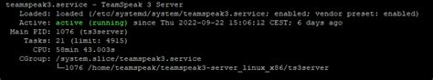 install teamspeak server on raspberry pi glennleving dk