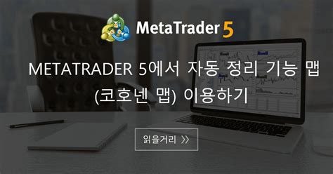 Metatrader 5에서 자동 정리 기능 맵 코호넨 맵 이용하기 Mql5 기고글